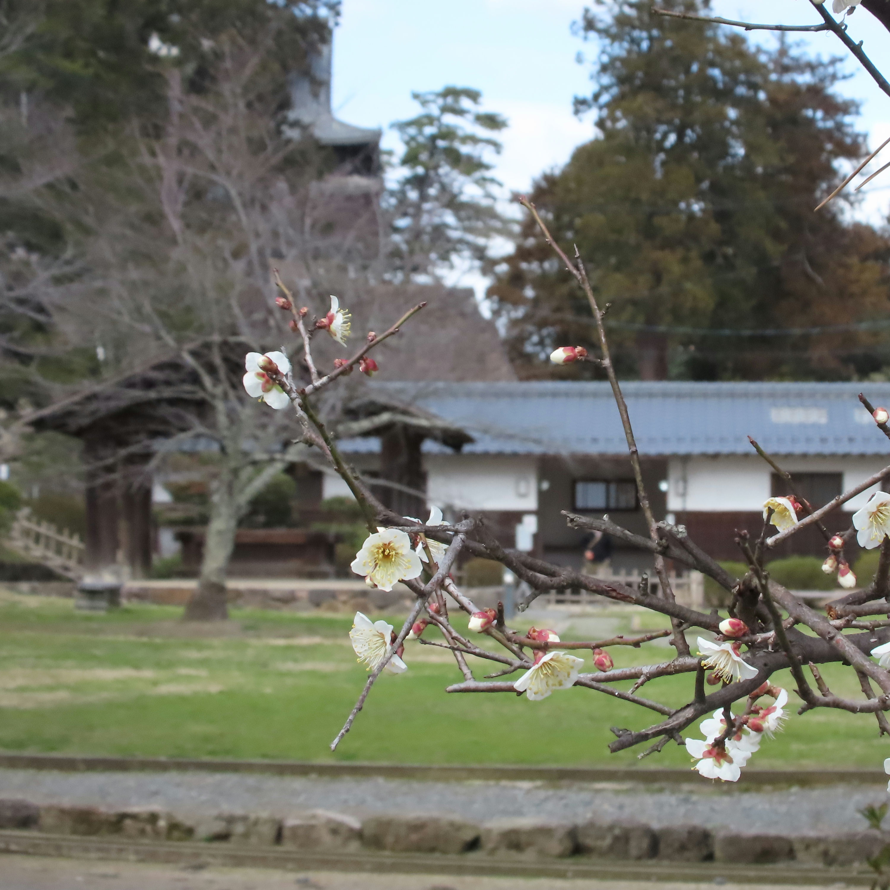 お散歩カメラ 2023-02-26 [text.Baldanders.info]