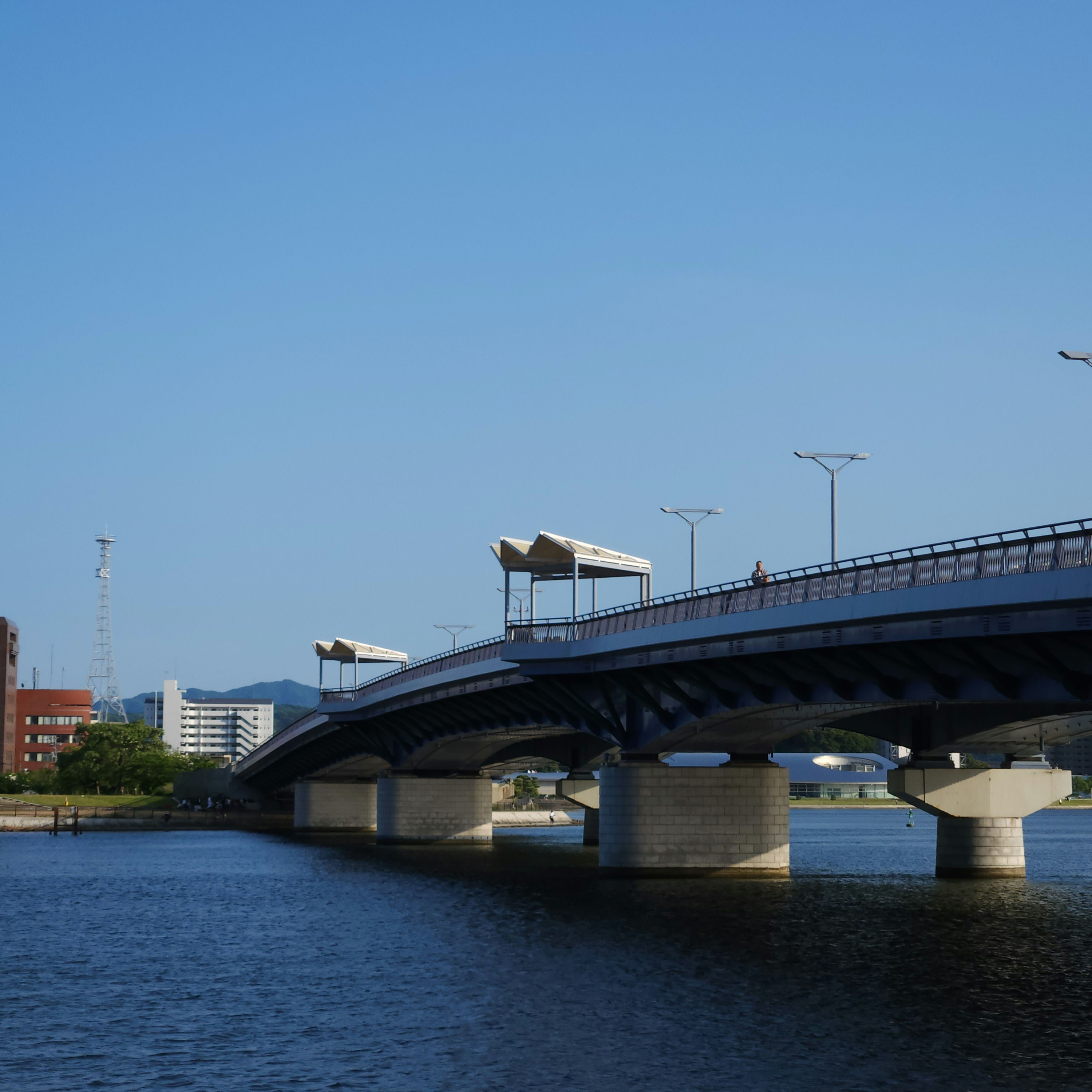 お散歩カメラ 2024-05-25 [text.Baldanders.info]