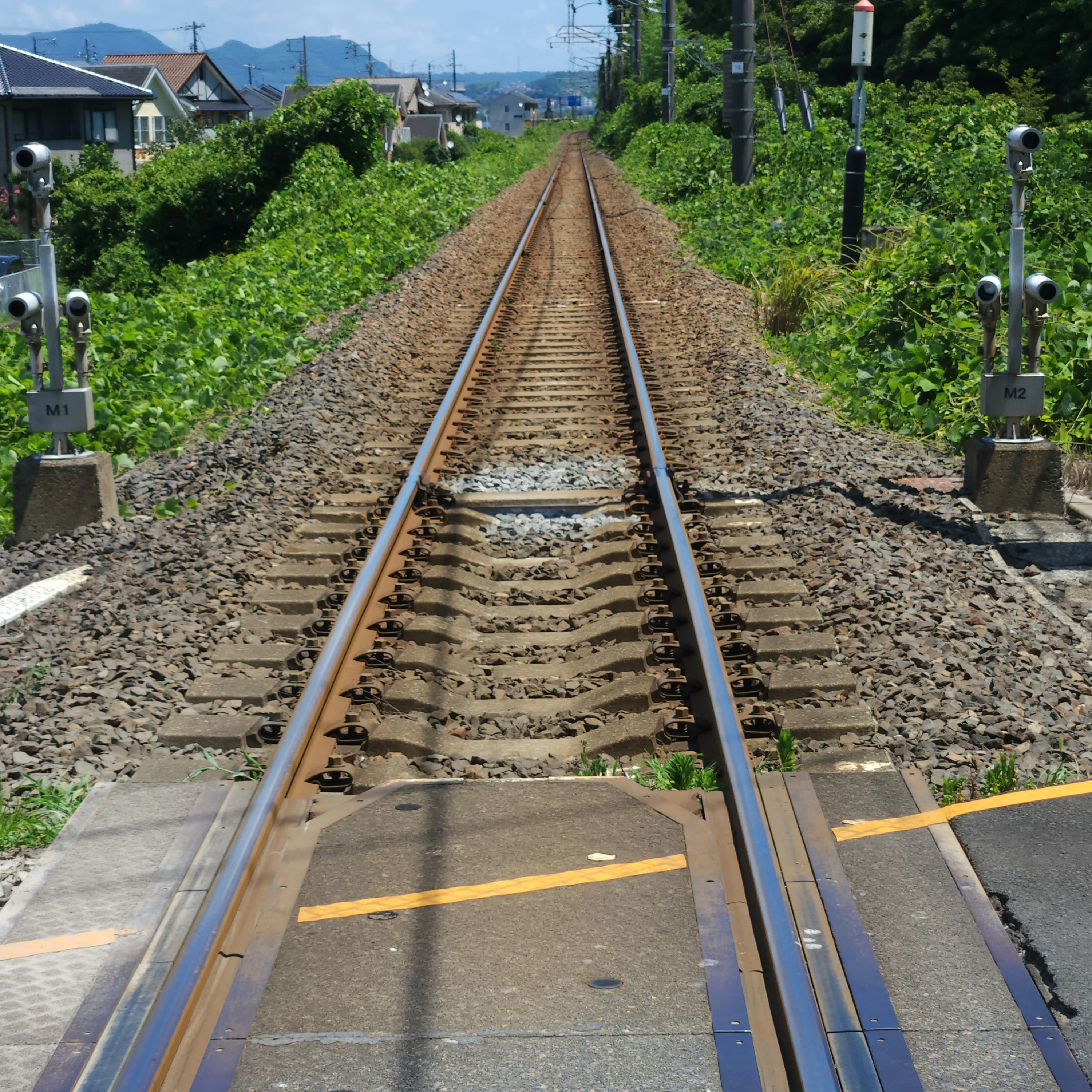 お散歩カメラ 2024-08-10 [text.Baldanders.info]