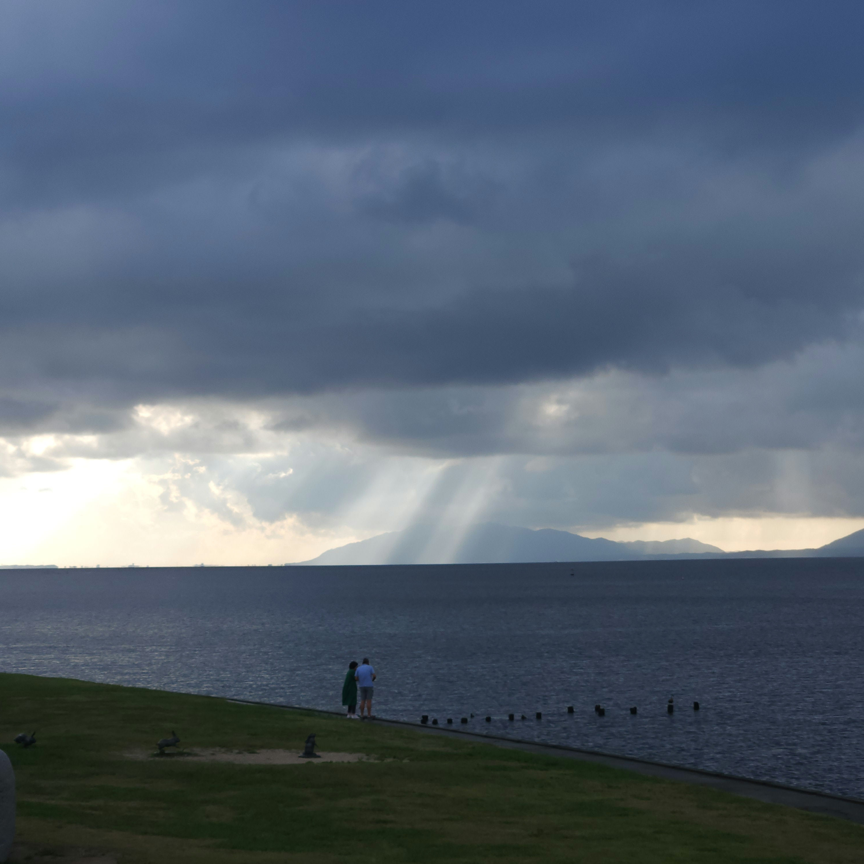お散歩カメラ 2024-08-31 [text.Baldanders.info]