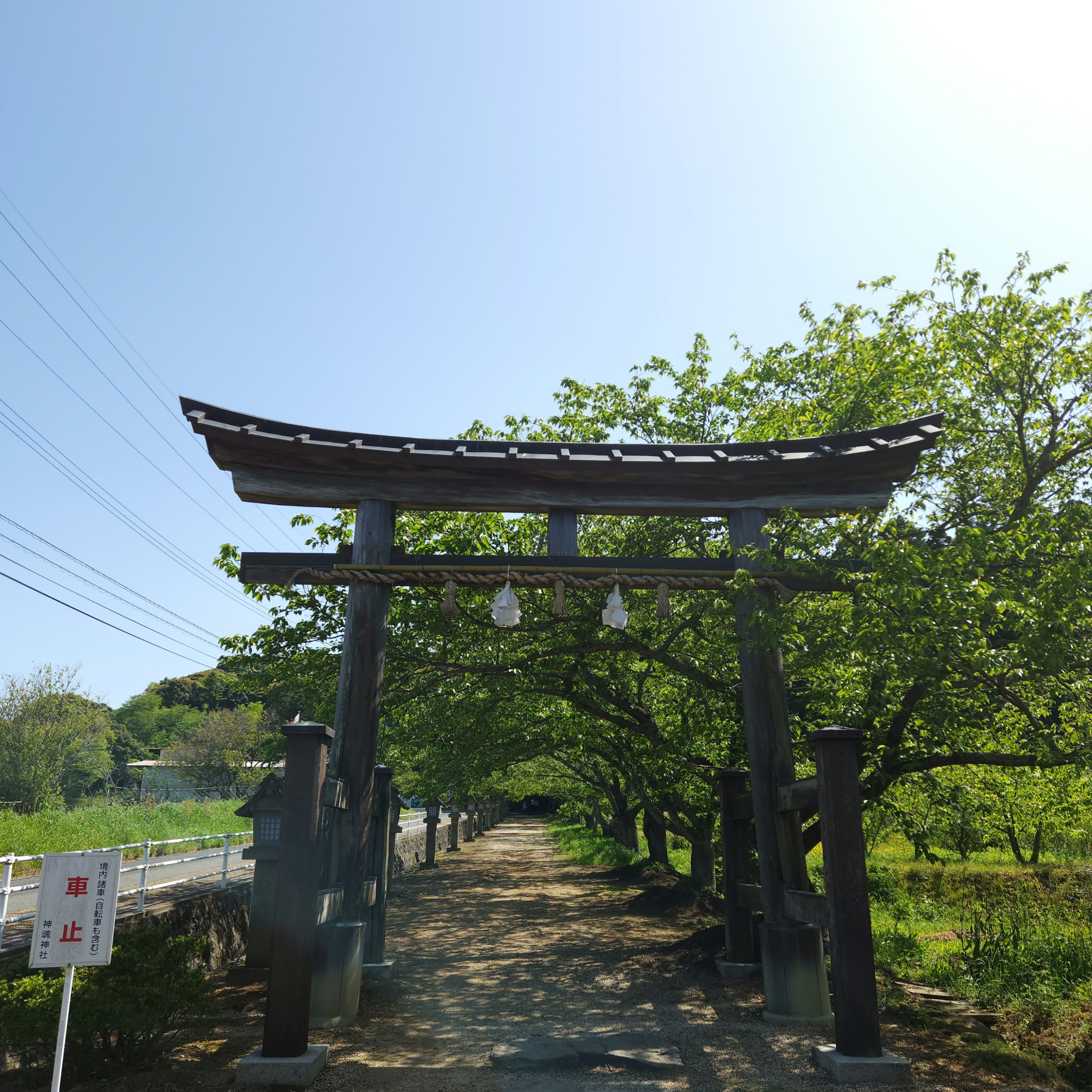 意宇六社巡り3回目（八雲立つ風土記の丘 遺跡めぐり 7） [text.Baldanders.info]